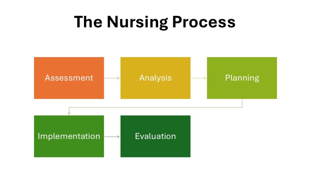 What's Different About Next-Gen NCLEX-RN® Prep? - Slone NCLEX Review